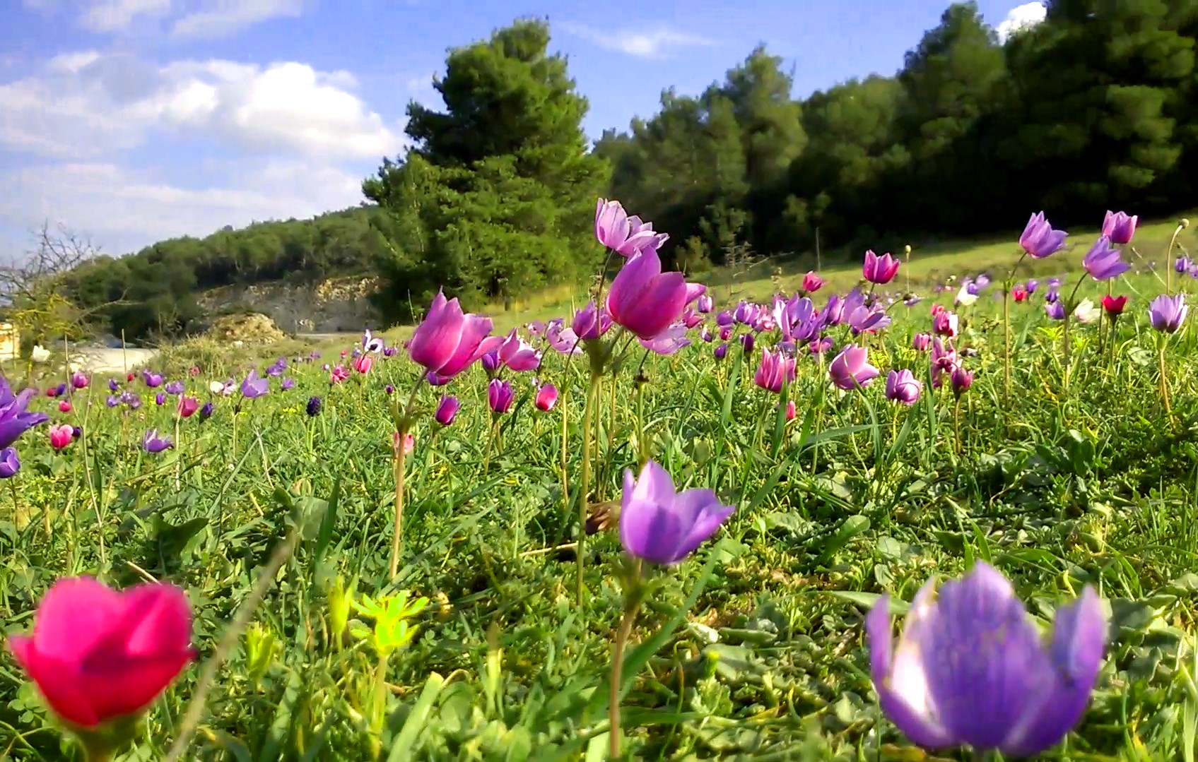 ΕΙΔΑ ΤΟΝ ΑΛΗΘΙΝΟ ΘΕΟ, ΜΕ ΤΑ ΜΑΤΙΑ ΜΟΥ... | Apodytiriakias.gr
