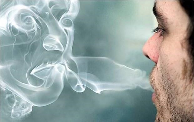 ΜΕ ΤΟ ΤΣΙΓΑΡΟ ΣΤΟ ΣΤΟΜΑ ΕΚΟΨΕ ΤΟ... ΚΑΠΝΙΣΜΑ | Apodytiriakias.gr