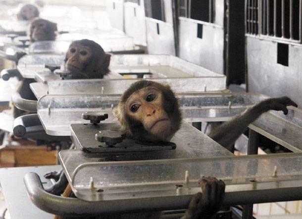 ΤΟ ΟΛΟΚΑΥΤΩΜΑ ΔΙΧΩΣ ΤΕΛΟΣ | Apodytiriakias.gr